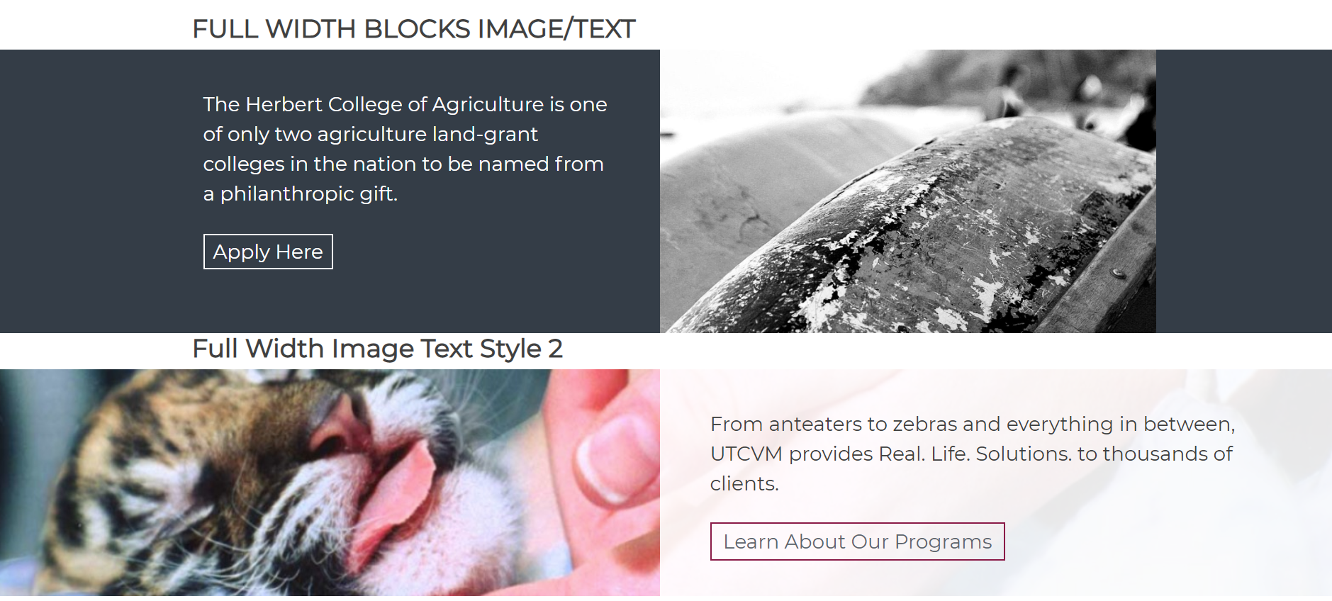 Utia Full Width Image With Text Utia Wordpress Guide