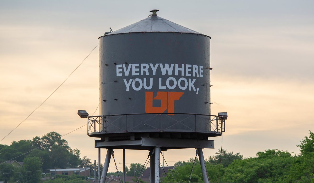 Blocks Learning Path | UTIA WordPress Guide