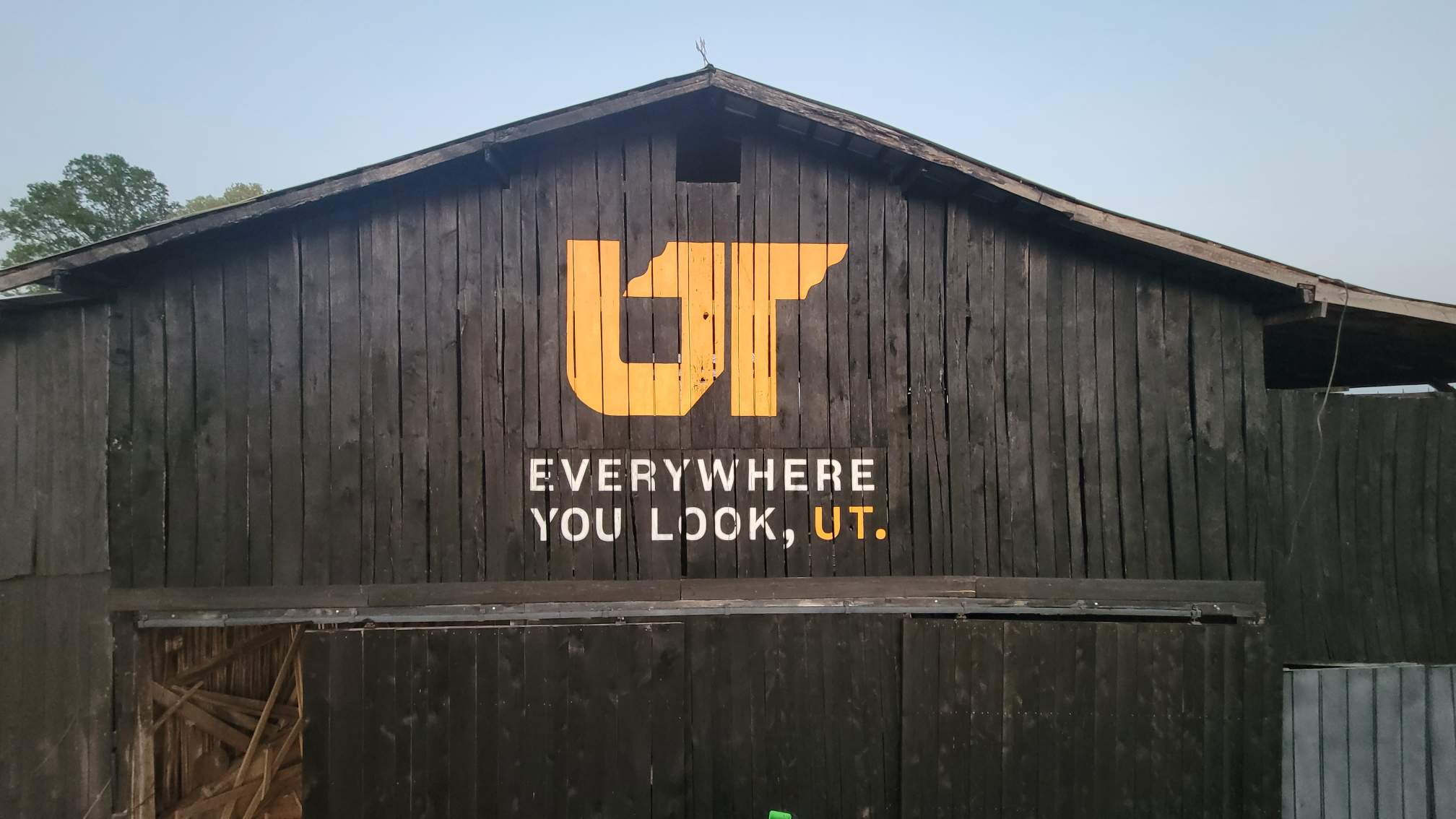 Training | UTIA WordPress Guide